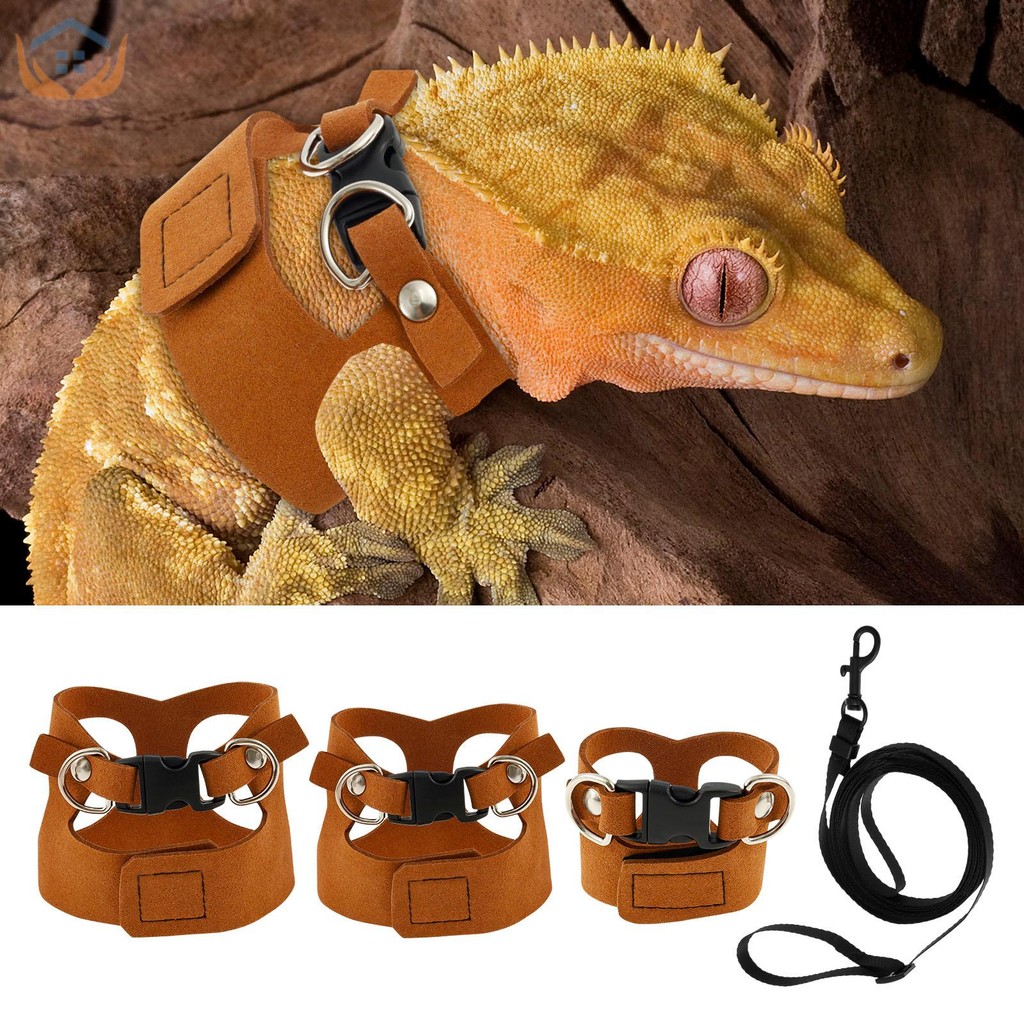 Bearded Dragon Harness and Leash Set 3 Sizes Adjustable Leather Lizard ...