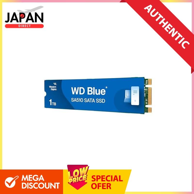 Western Digital (Western Digital) Internal SSD 1TB WD Blue SA510 M.2-2280 SATA WDS100T3B0B-EC ...