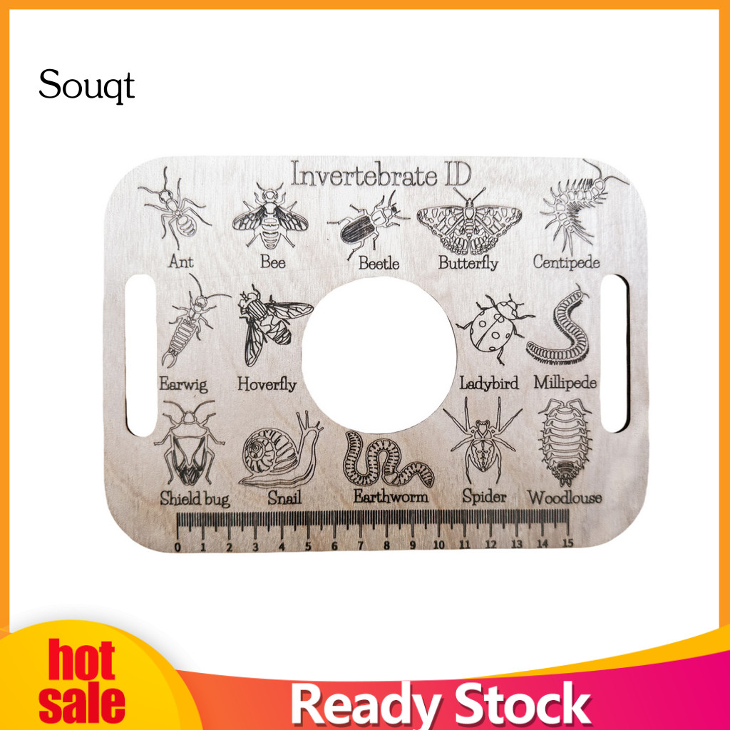 Animal Identification Chart Leaning Chart Wooden Identification Ruler ...
