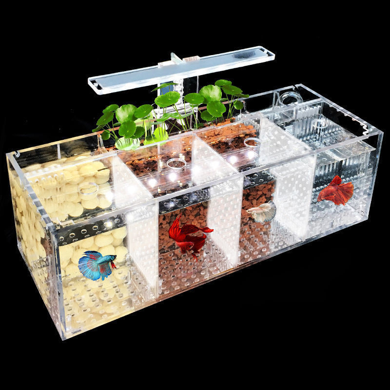 Spot goods fish tank divider mini fish tank[5406 People Collection ...