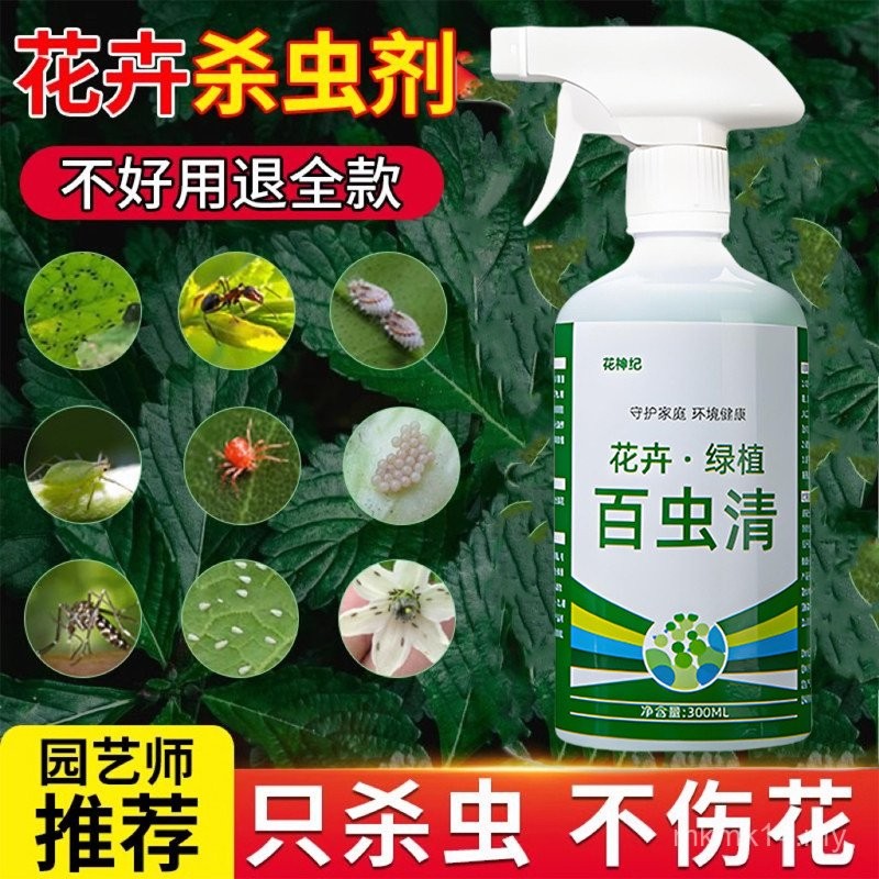 Insect Clearing Potted Plant Household Insecticide Insecticide Red ...