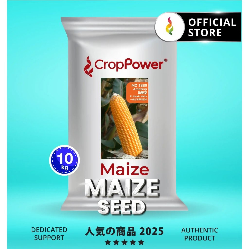 (10 KG) Biji Benih Jagung Bijian Jagung Ternakan Amazing 傲美姿 MZ5885 ...