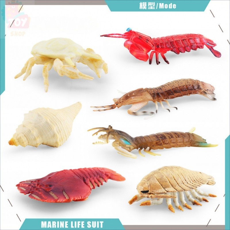 Mainan mencerdaskan otak Sains dan Pendidikan Kanak-kanak Simulasi ...