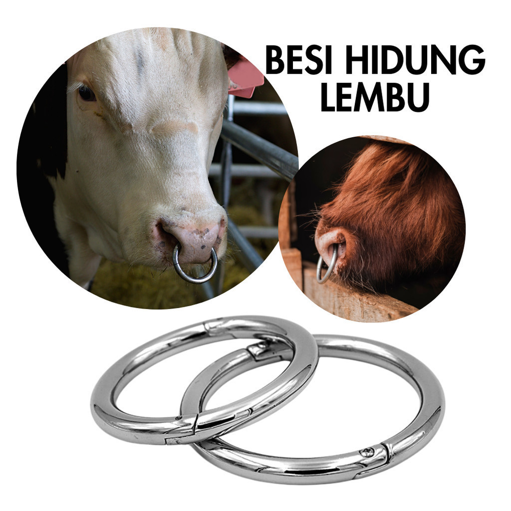 [1 UNIT] CINCIN HIDUNG LEMBU 80MM DIAMETER | COW NOSE RING | Shopee ...