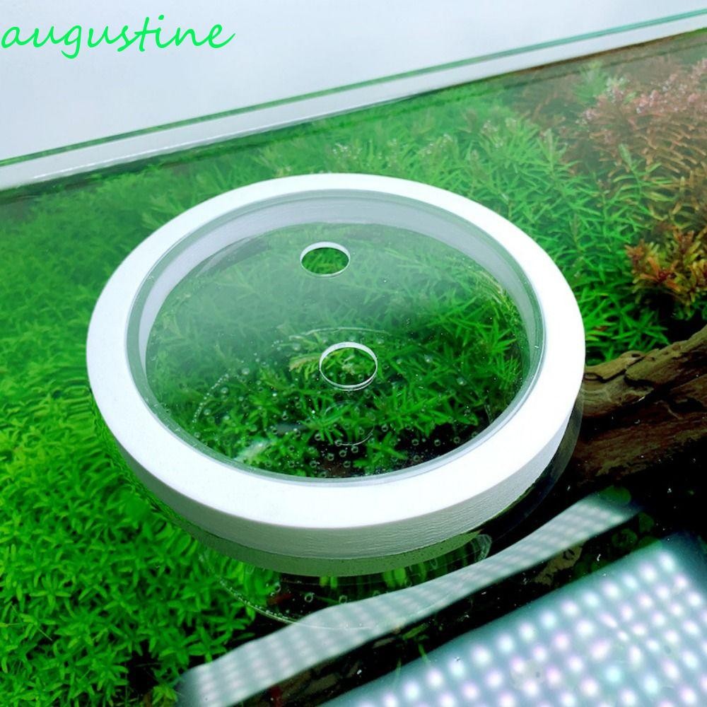 AUGUSTINE Floating Hatching Box, Acrylic Fish Tank Isolation Box Fish ...