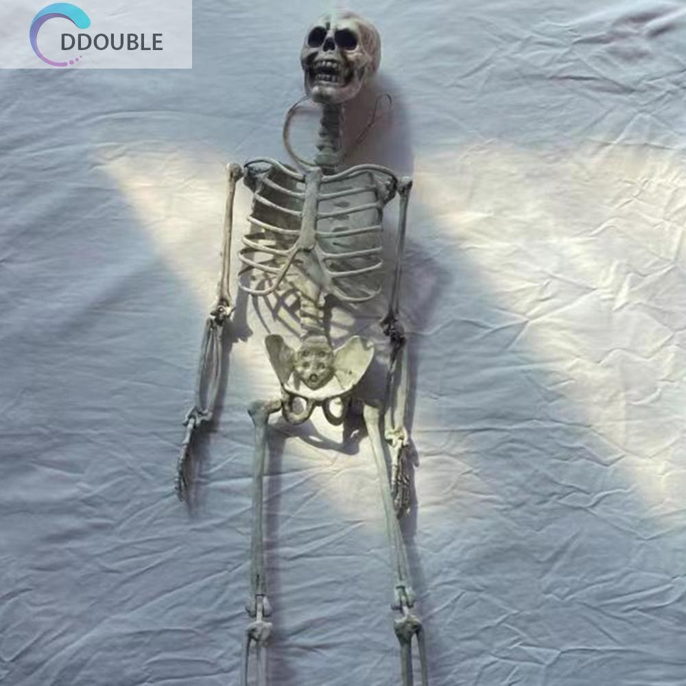 [Ddouble.my] Full Size Fake Human Skull Bones Poseable Horror Halloween ...