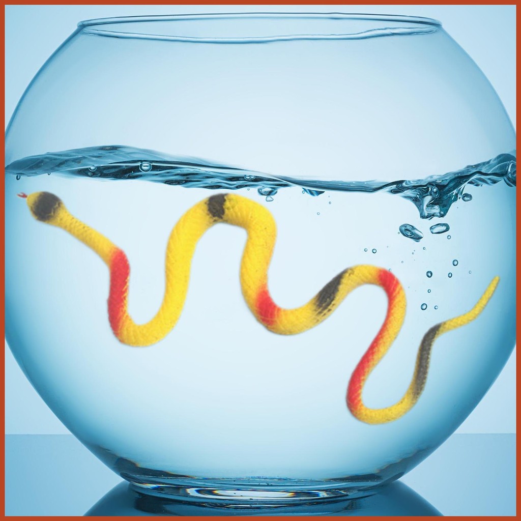 Grow Water Creature Magic Expandable Water Growing Snake Toys Learning ...