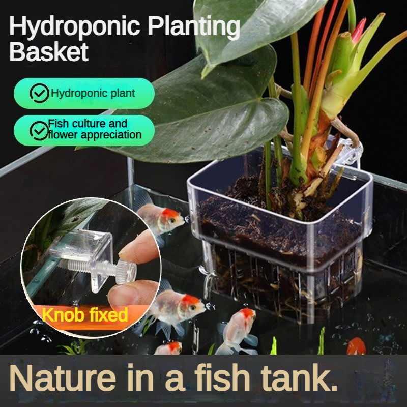 Hydroponic Fixed Planting Basket Fish Tank Water Grass Fixed Basket ...