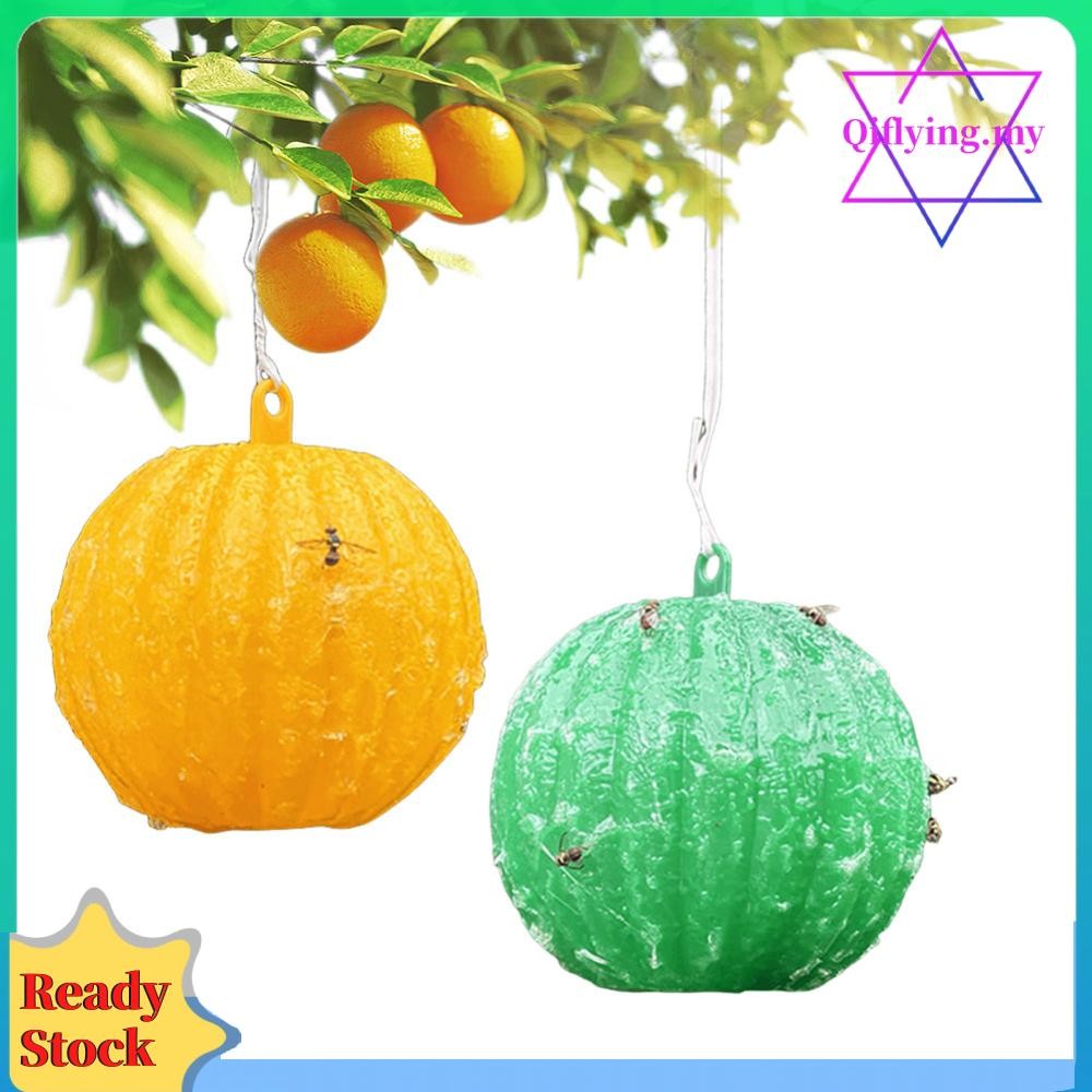 Sticky Fruit Fly Trap Ball Ball Fruit Fly Catcher Adhesive Fly Catching ...