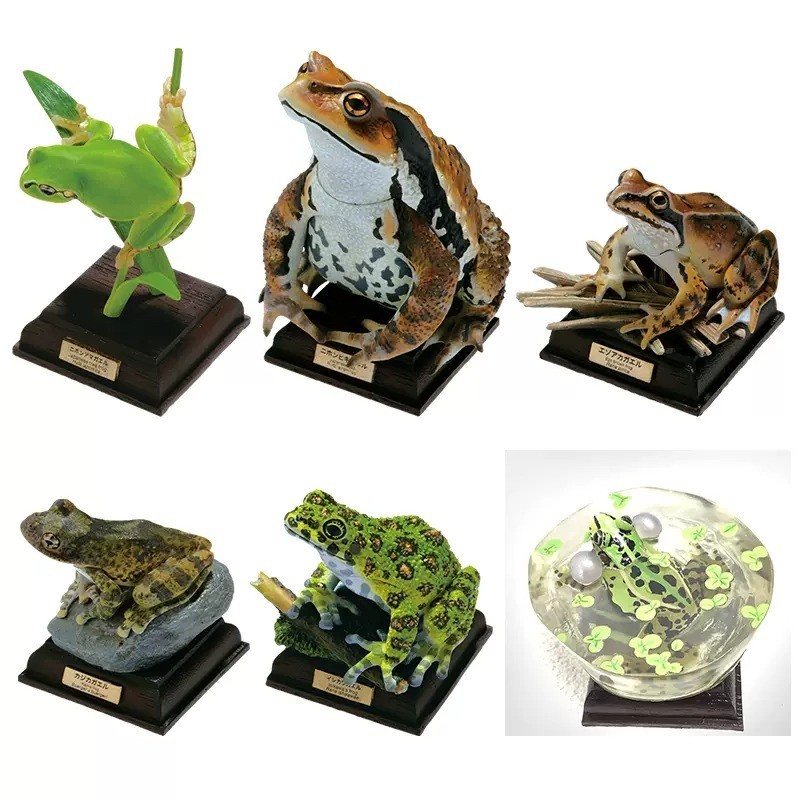 Japan IKIMON Capsule Toy NTC Illustrated Book Japanese Frog Special ...