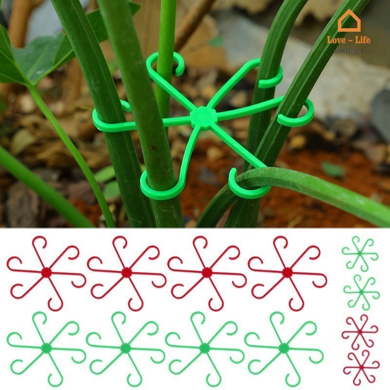 4/8Pcs Flower Plant Stems Fixing Plastic Clips - Vines Grow Upright ...