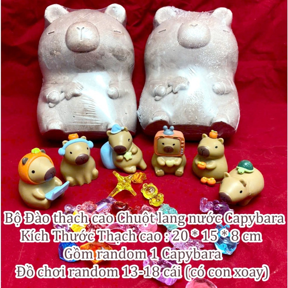 [New Item] capybara Water Splatter Mouse Archeology Digging Toy Set ...