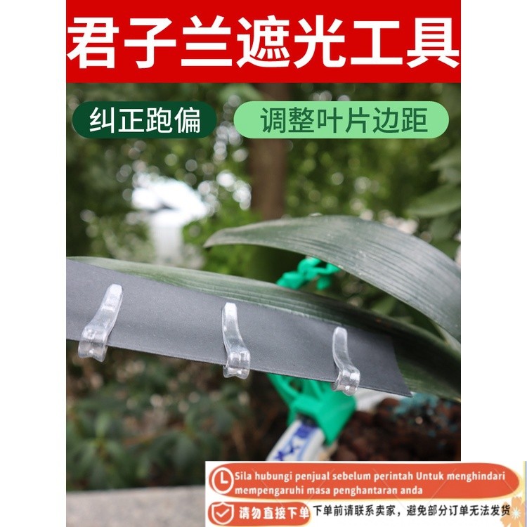 HY@Orchid Little Clip Clivia Blade Correction Clip Shaping ...
