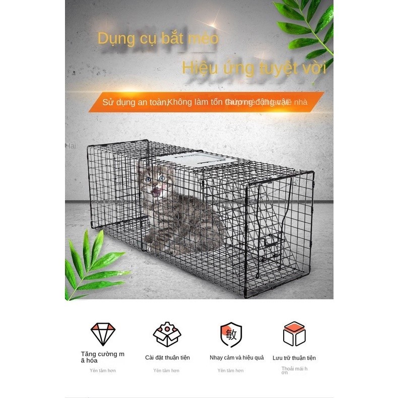 Wild Cat Trap Cage Ferret Trap Cage Wildcat Trap Cage Wildcat Trap ...