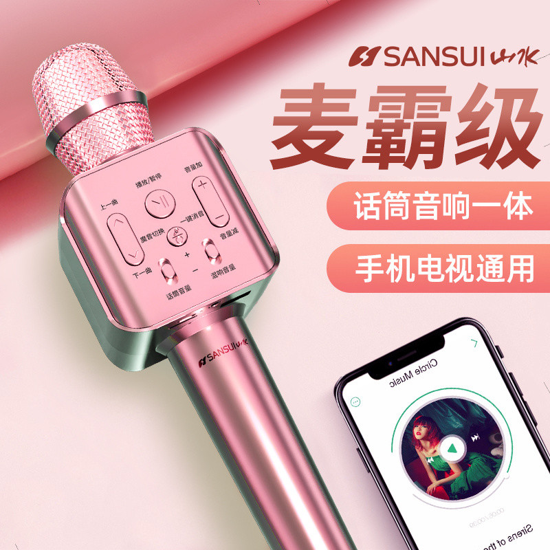 Kad bunyi mikrofon bersepadu pembesar suara mikrofon Shanshui F3 ...