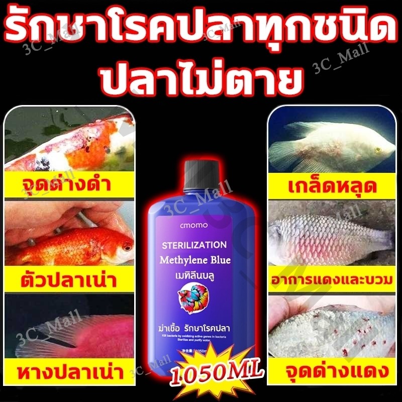 Methylene Blue Can Treat Dark Spots Loose Scales Rotten Fish Redness ...