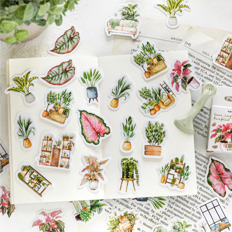 ENWEI 45 Pcs [Boxed Stickers Series] Lovely Journal Stickers Washi ...