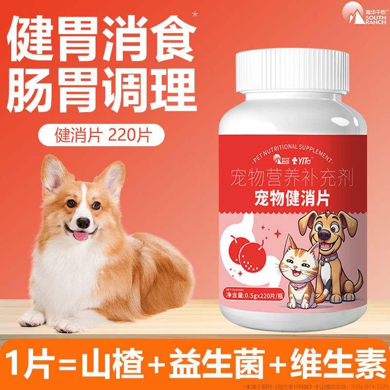 Pet Digestive Tablets Dog Probiotics Appetizer Cat Probiotics Stomach ...