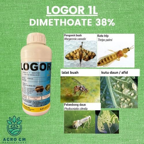 Logor Racun Serangga dimethoate 38% 1L 4L sesama Dimet Lalat Buah Ulat ...