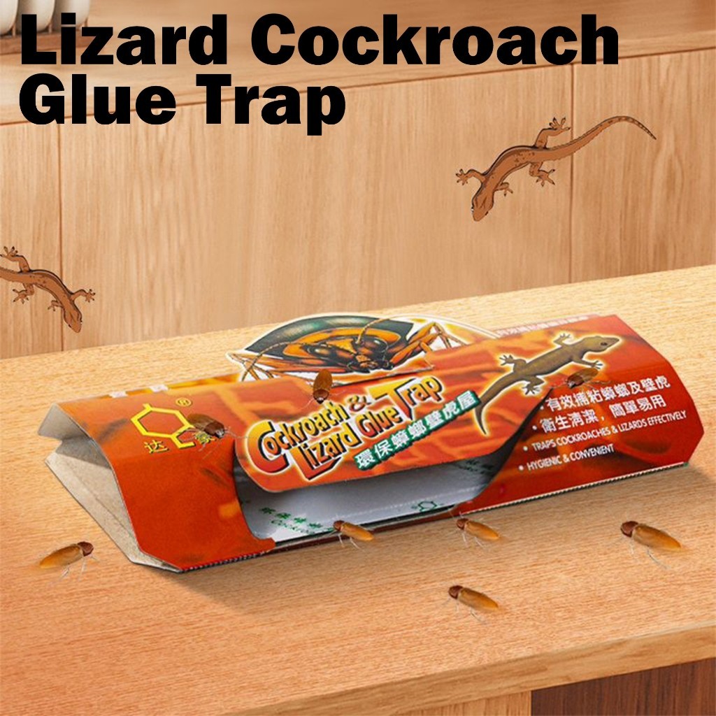 Cockroach and Lizard Sticky Glue Trap Killer Cockroach/Lizard Trap Ant ...