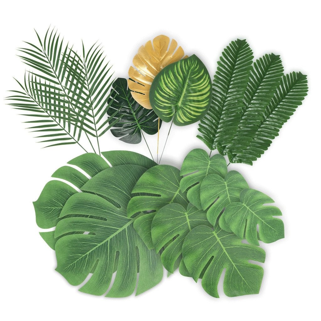 Simulasi Daun Palma Tiruan Merentas Sempadan Daun Pokok Monstera Set ...