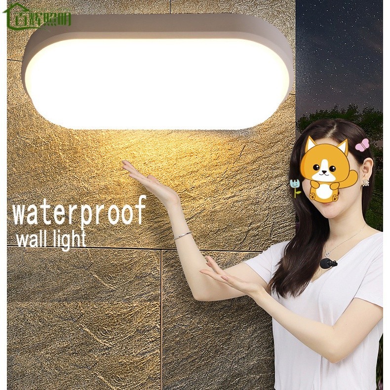 Waterproof lamp Moisture proof Light led wall lamp Ceiling Light ...