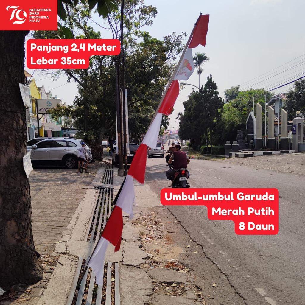 PUTIH MERAH Newest Plain Red And White Pennant Triangle Leaf Long Red ...