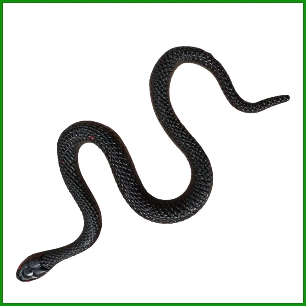 Snake Toys for Kids Black Snake Toys Fake Rubber Snake Realistic Rain ...