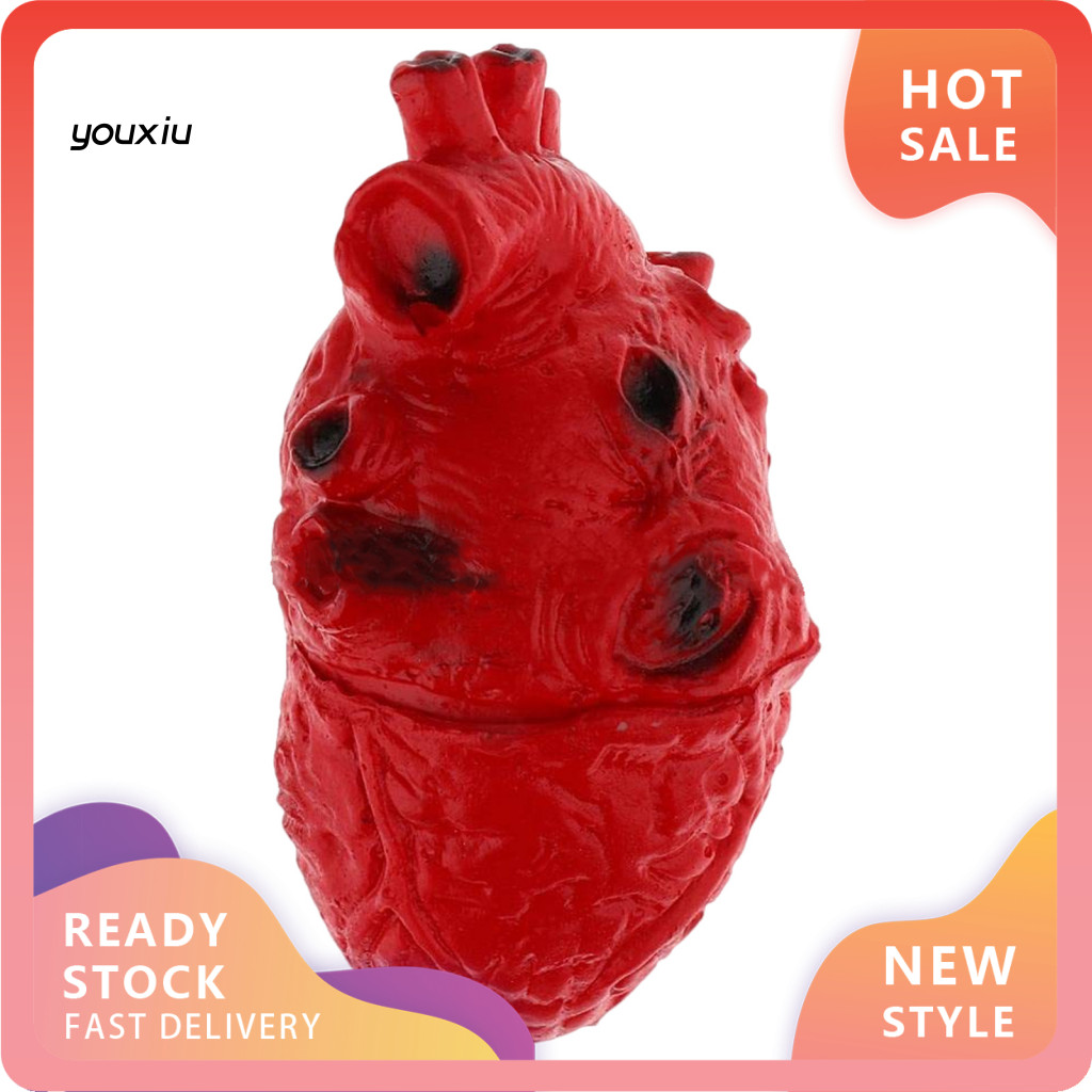 YX Realistic Fake Heart Fake Organ Prop Realistic Fake Human Heart ...