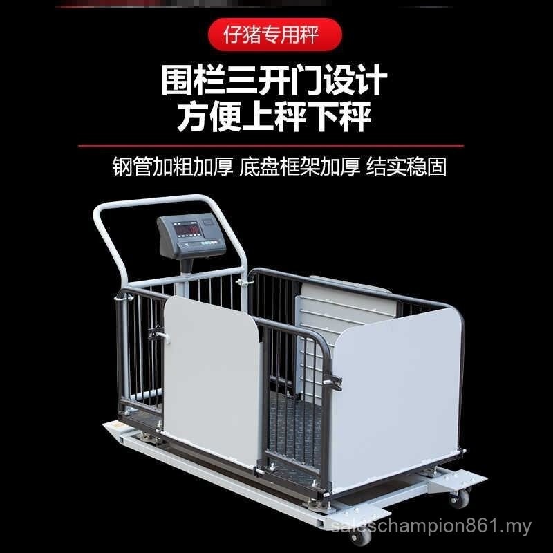 Pig Transfer Scale Trolley Scale Movable Location Scale Push Type Pig ...