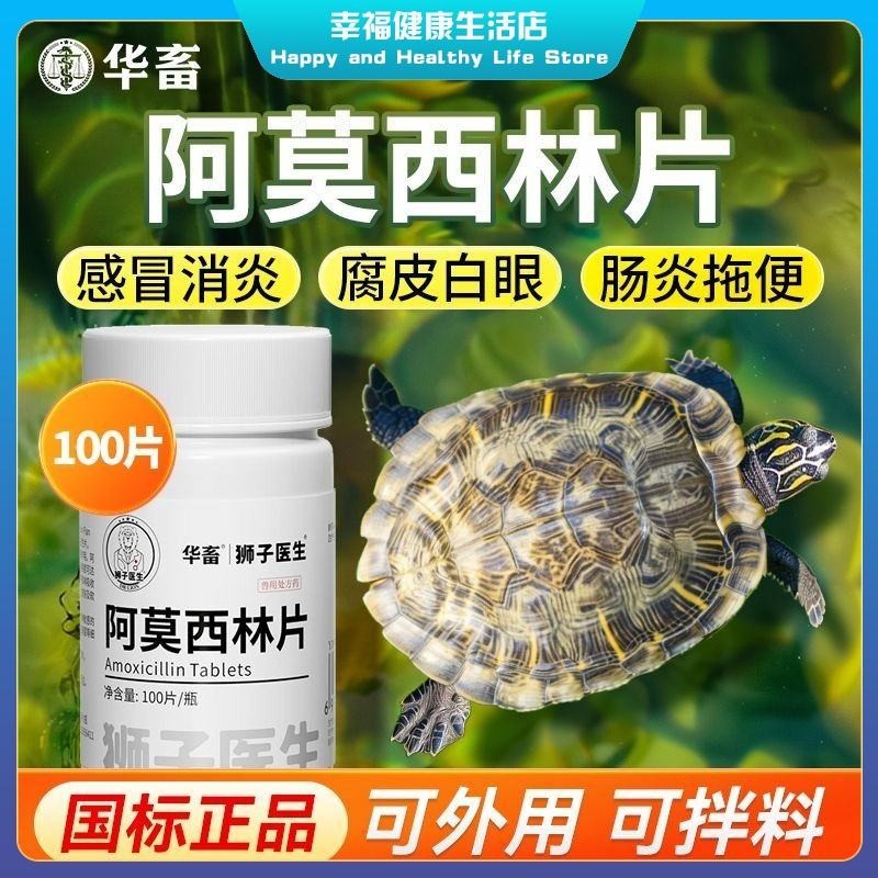 Hot sales [Pet Health Care Ready Stock] Hualife Turtles Amosilin Sheet ...
