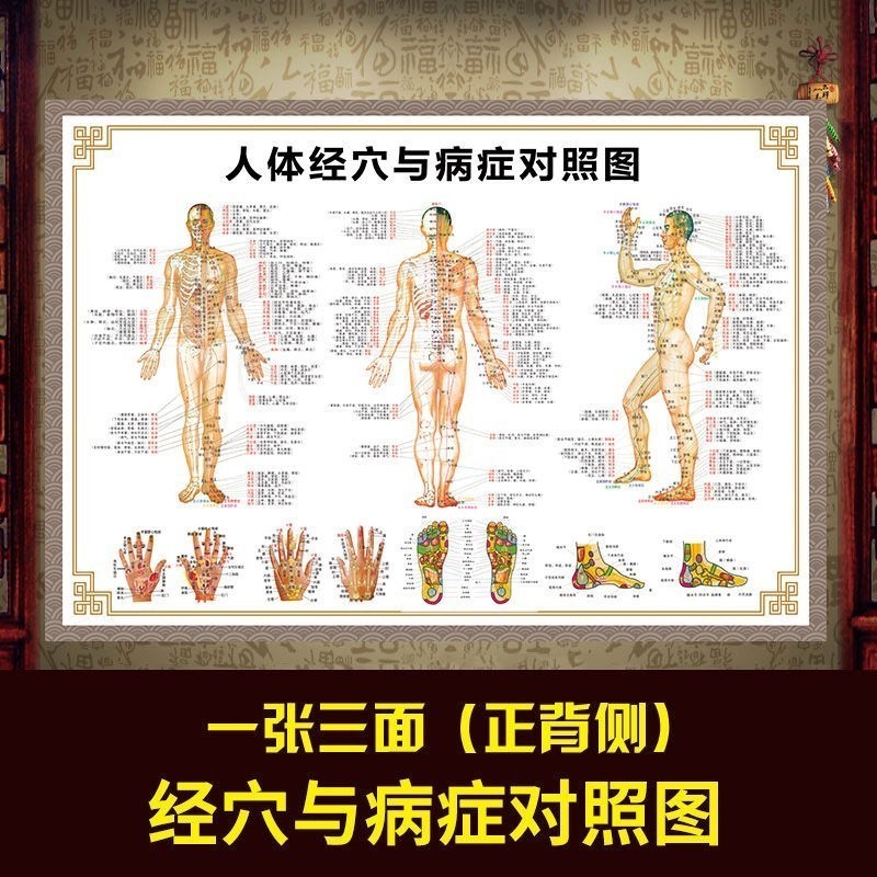 Body Acupoint Map Full Body Chart Traditional Chinese Medici人体穴位图 全身图 ...