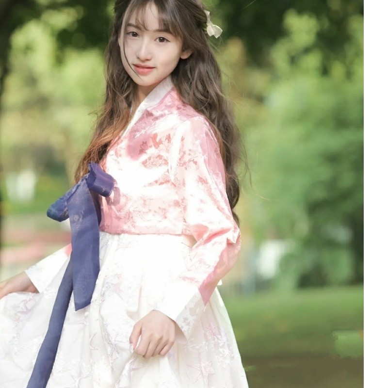 Hanbok Women's Korean Costume Dance Dress Korean Traditional Minority ...