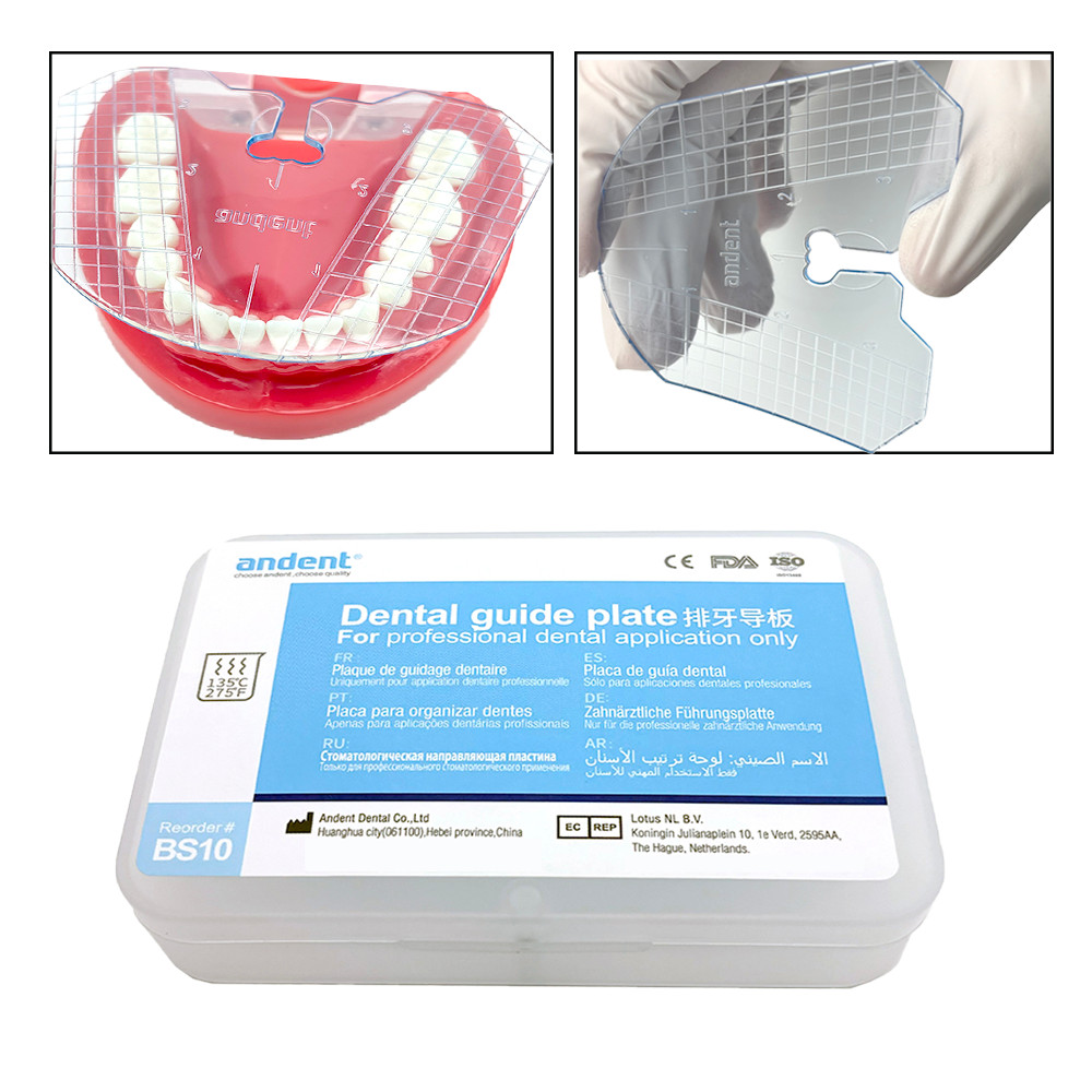 Dental Guide Plate Teeth Arrangement on Denture for Complete Denture ...