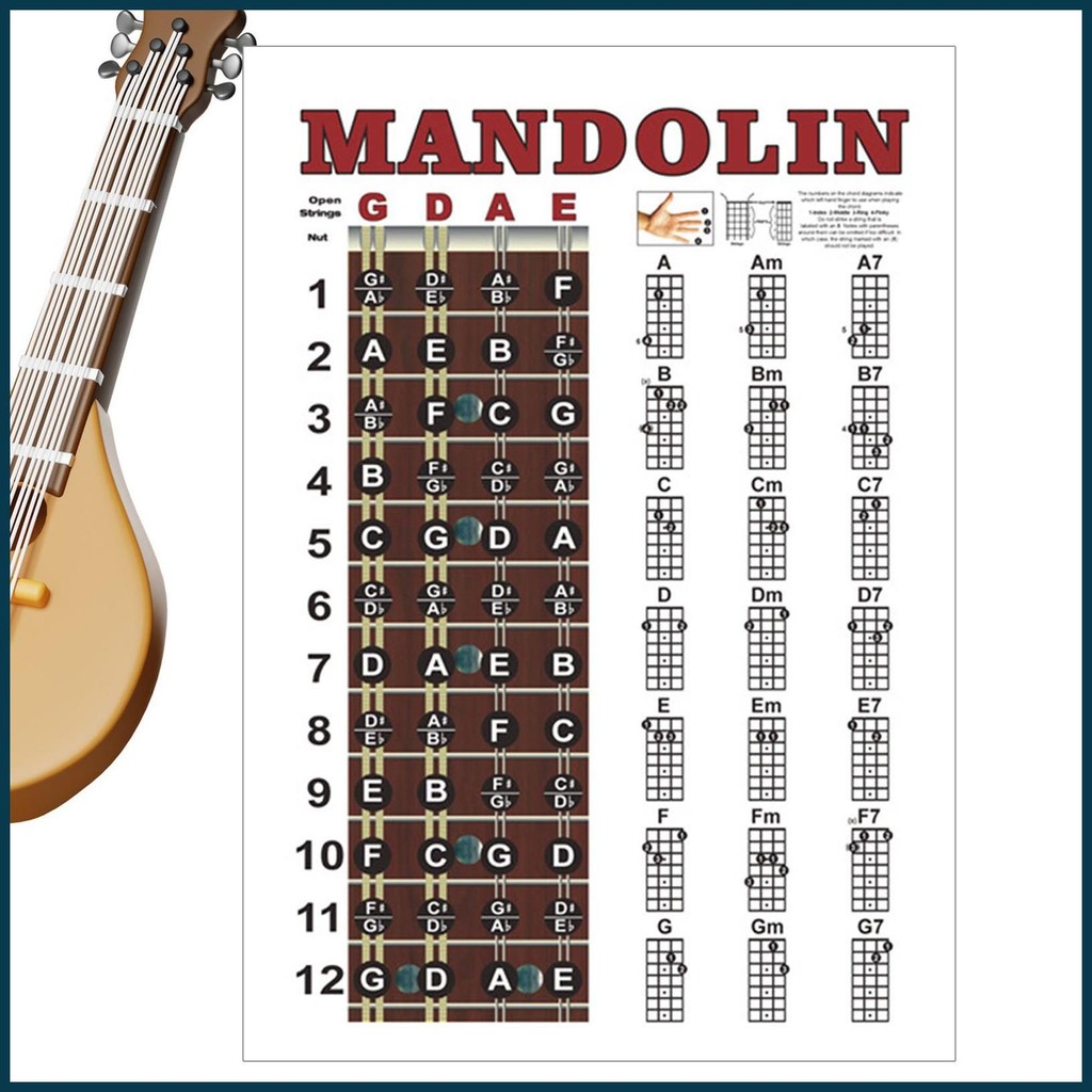 Mandolin Chord Chart Poster Mandolin Learning Tools Fret Board Notes ...