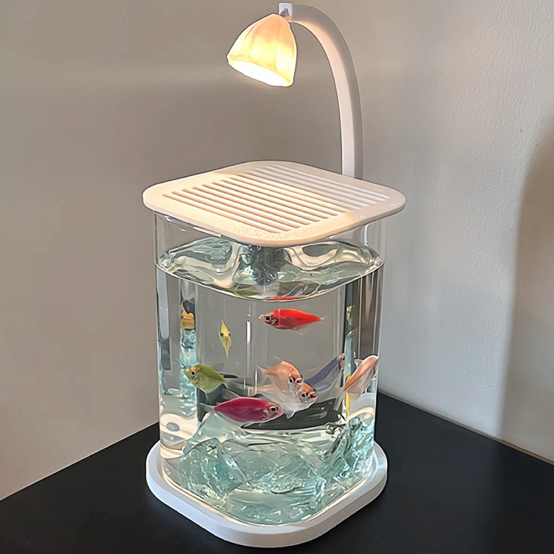 Glass Small Fish Tank Cryolite Desktop Creativity Ecological Betta Tank ...