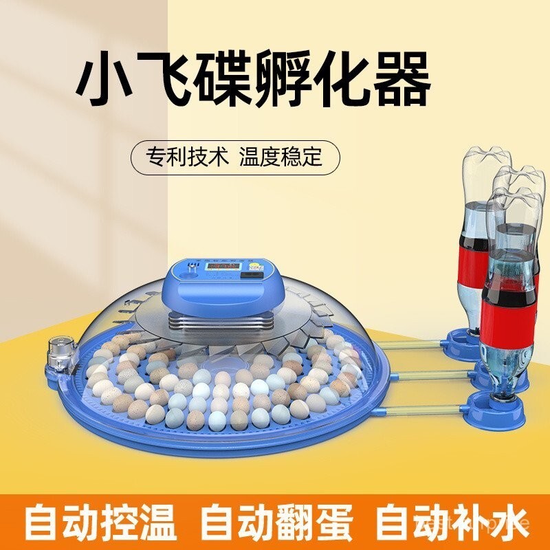 Incubator Fully Automatic Rutin Chicken Incubator Small Chicken ...