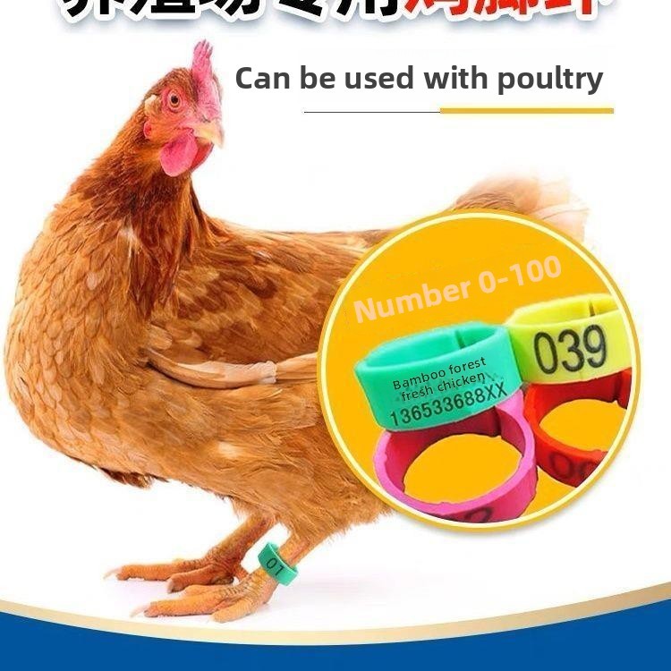 Identification Marking Marking Foot Ring Foot Ring Duck Automatic ...