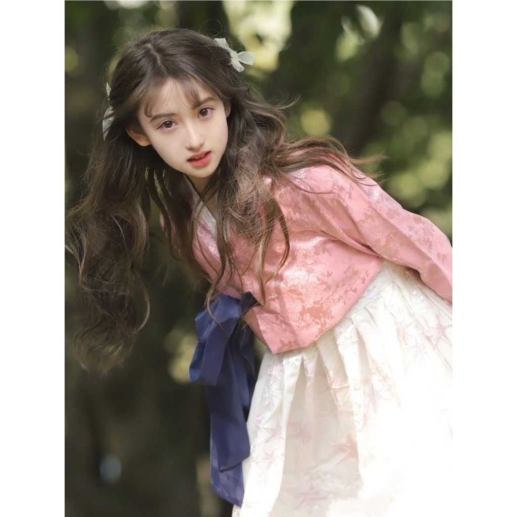 Hanbok Women's Korean Costume Dance Dress Korean Traditional Minority ...