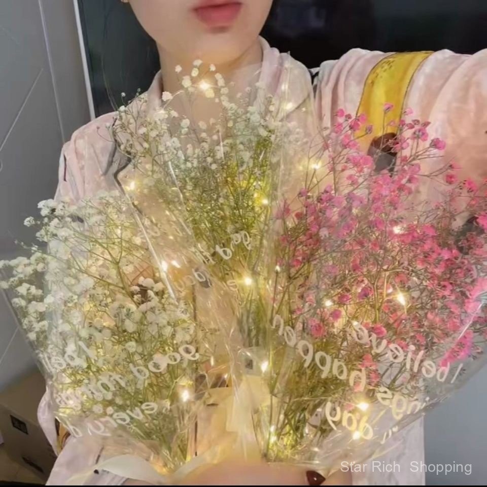 Gypsophila bercahaya bunga kering bunga abadi jambak bunga barang jadi ...