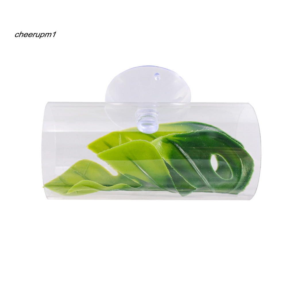CHEER Acrylic Betta Fish Perch Betta Fish Play Tunnel Acrylic Betta ...
