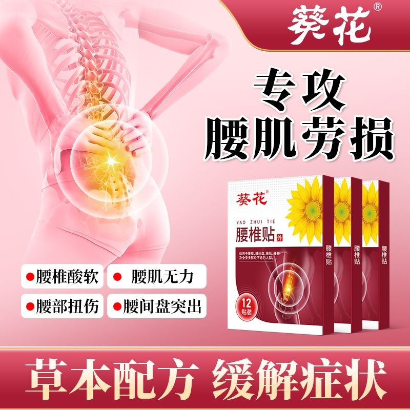Sunflower Lumbar Spine Patch Special Ointment Medicine Patch Lumbar ...