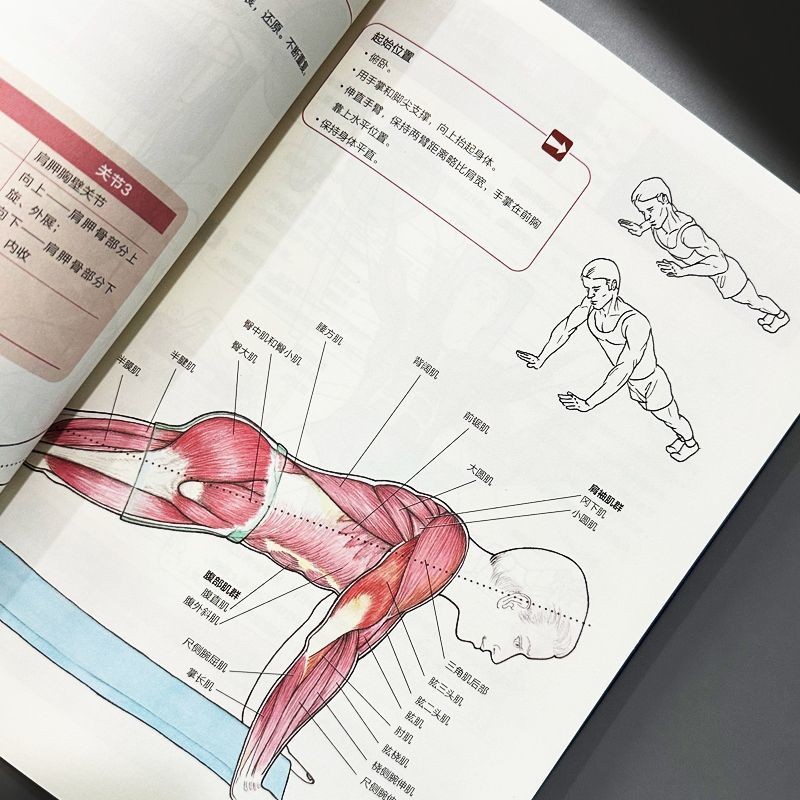 Genuine Muscle Strength Training Anatomy Atlas Exercise Health Fitness ...