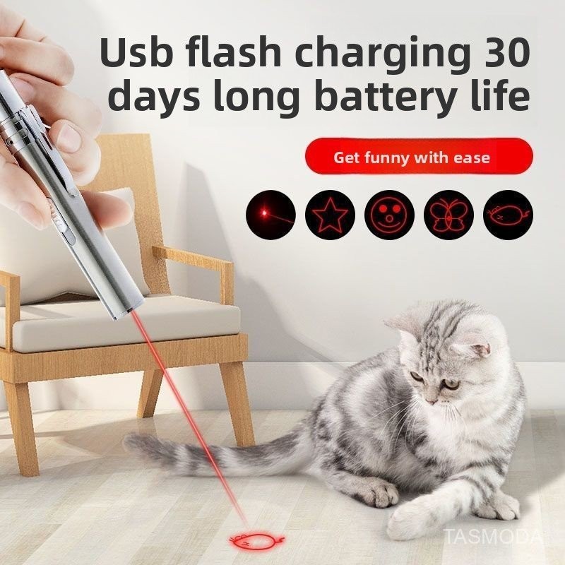 Cat Laser Toy - Infrared, Kitten Boredom Buster, Mite Detection, USB ...
