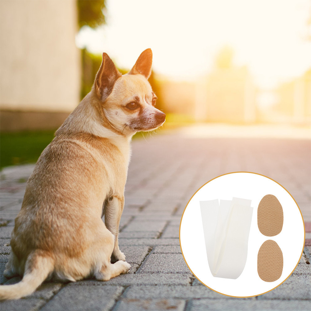 2 pairs of Dog Ear Stand Fixed Stickers Dog Ear Support Dog Ear ...