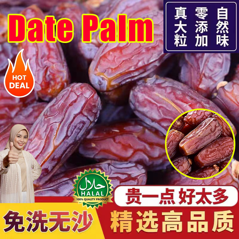 Premium Date Palm Dried Date Palm Disposable Snacks Dried Fruit Zero ...