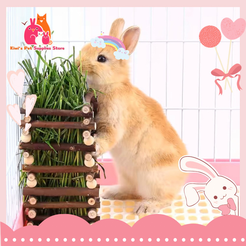 Applewood Grass Rack Rabbit Hay Rack Pet Hay Feeder | Shopee Malaysia