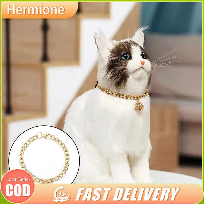 Cat Collar High fashion Gold Chain No Discoloration Aluminum ...