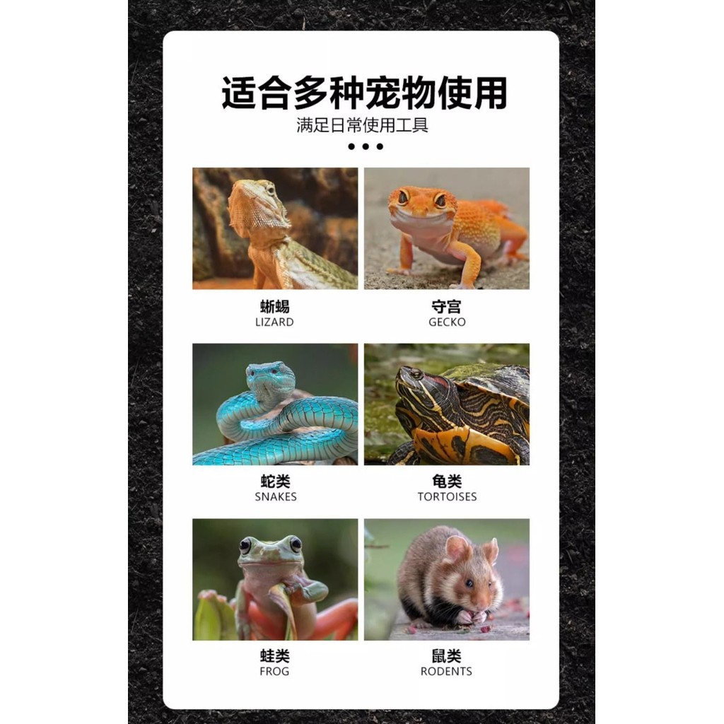 Insect Feed Spider Turtle Reptile Box Breeding Box Daily Defecation ...