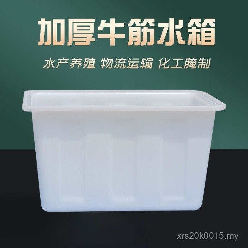 Breeding Box Fish Breeding Water Tank Beef Tendon Basin Plastic Storage ...